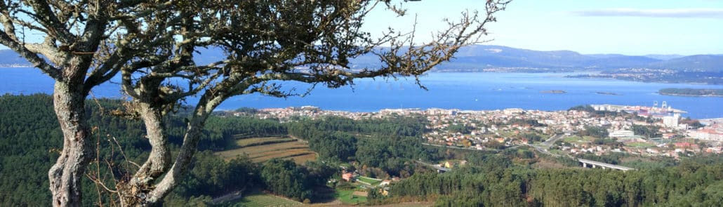 Vilagarcia de Arousa | Turismo, qué hacer, dónde dormir y comer en ...